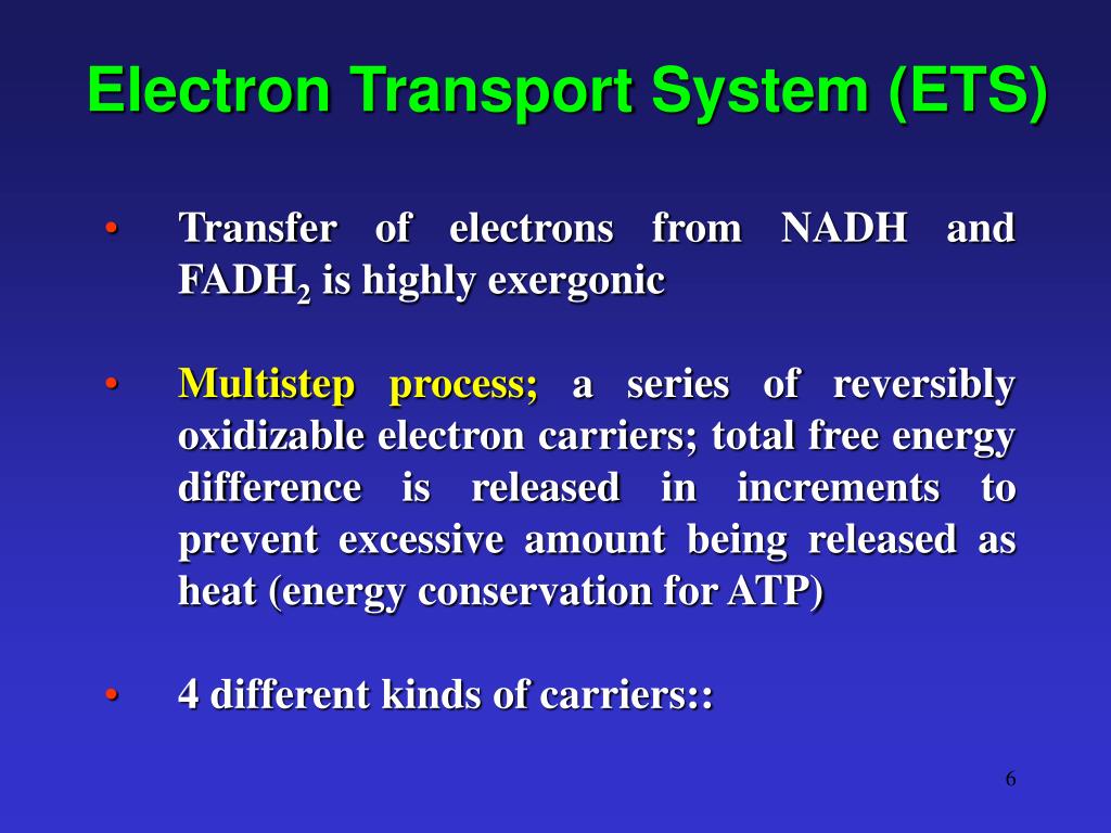 PPT - Objectives PowerPoint Presentation, free download - ID:3300299