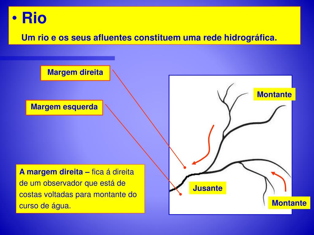 PPT - Dinâmica das bacias hidrográficas PowerPoint Presentation, free ...