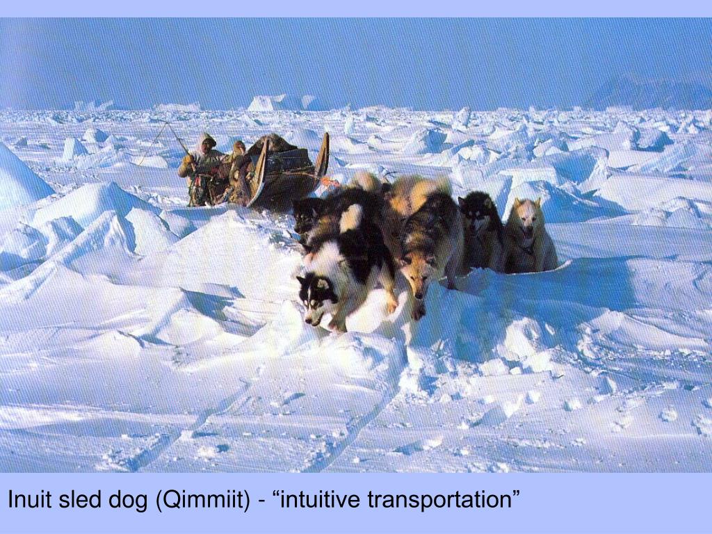 PPT - Inuit Homelands in Canada For our the wonderful educators at ...