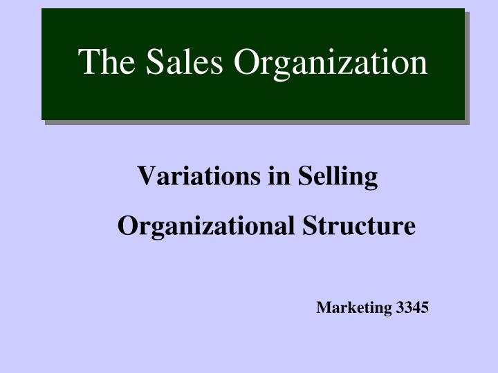 PPT - The Sales Organization PowerPoint Presentation, free download ...