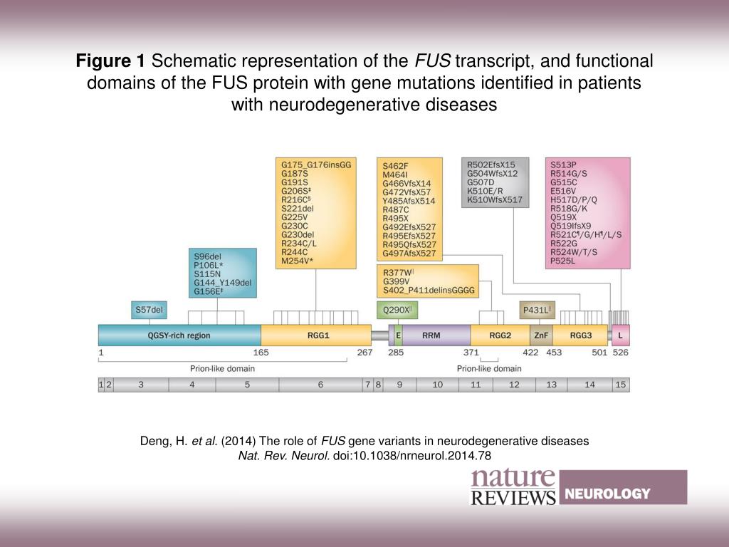 PPT - Deng, H. et al. (2014) The role of FUS gene variants in ...