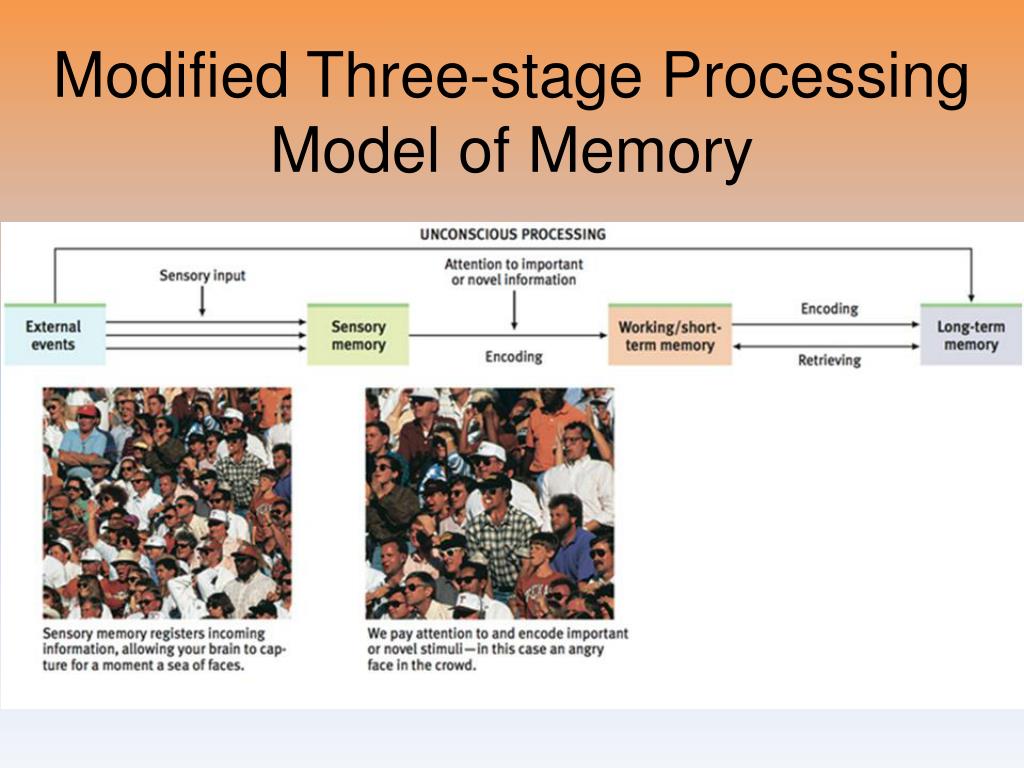 PPT Cognition Memory How Does Your Memory Work 1 Of 5 BBC Horizon 