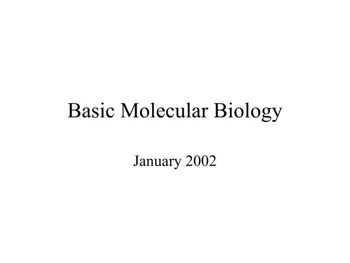 PPT - Basic Molecular Biology PowerPoint Presentation, free download - ID:3303342