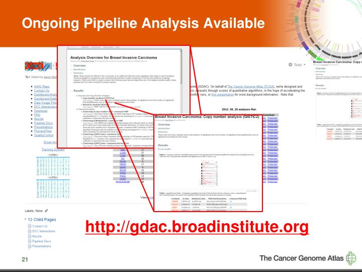 PPT - TCGA: Past, Present & Future PowerPoint Presentation - ID:3303428