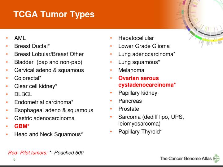 PPT - TCGA: Past, Present & Future PowerPoint Presentation - ID:3303428