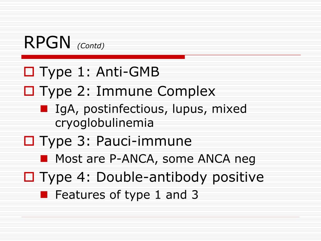 PPT - Anti-Glomerular Basement Membrane Disease PowerPoint Presentation ...