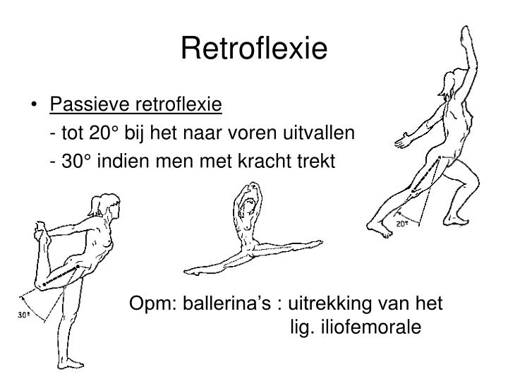 PPT - Het heupgewricht PowerPoint Presentation - ID:3303923