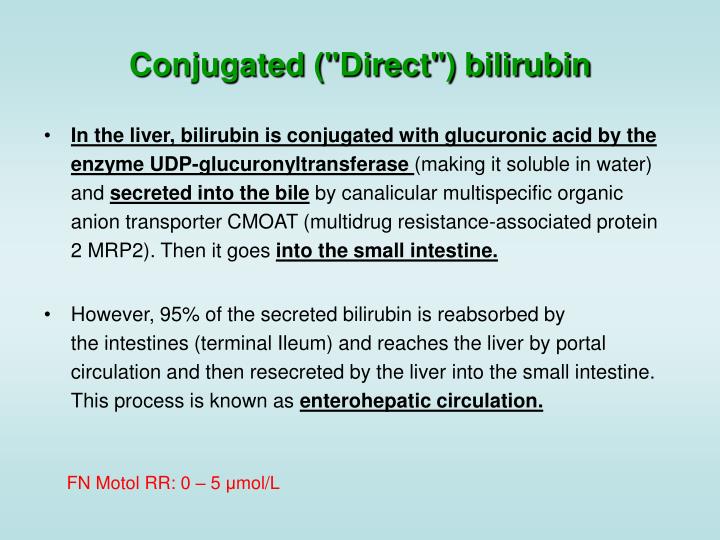 PPT - Biochemistry of the liver PowerPoint Presentation - ID:3305237