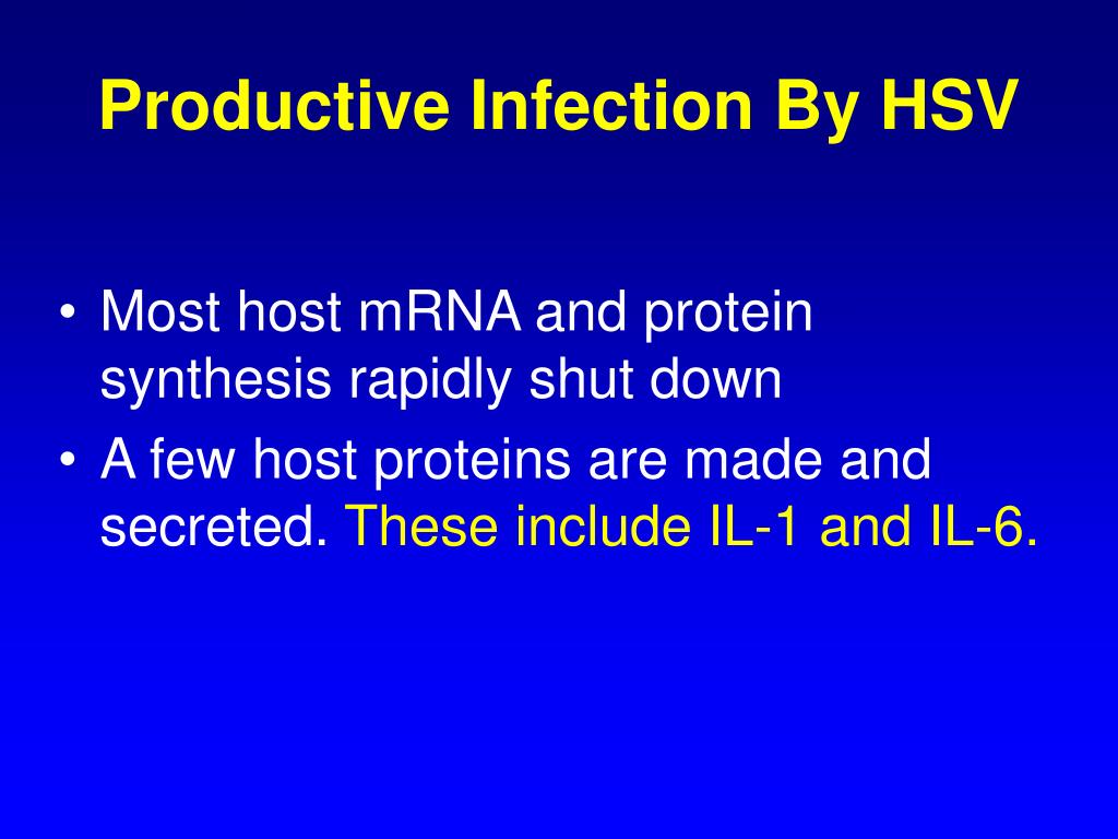 PPT - Angiogenesis in Viral Immunoinflammatory Lesions PowerPoint ...