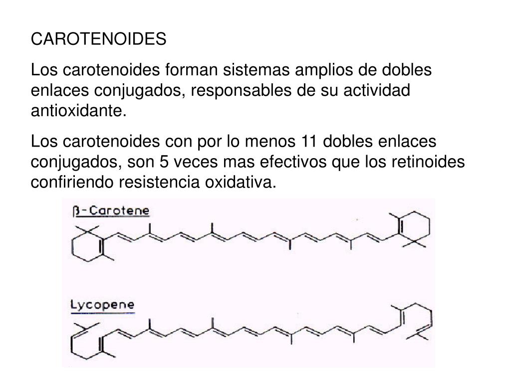 PPT - Antioxidantes en la prevención de enfermedades crónicas ...