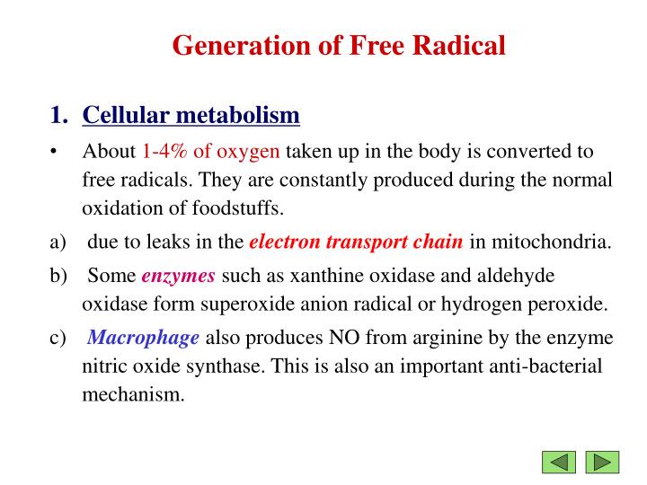 PPT - Free Radicals and Antioxidants PowerPoint Presentation - ID:3306273
