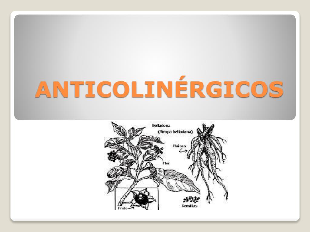 PPT - FACULTAD DE MEDICINA UNIDAD DE FARMACOLOGIA CLINICA Colinérgicos ...