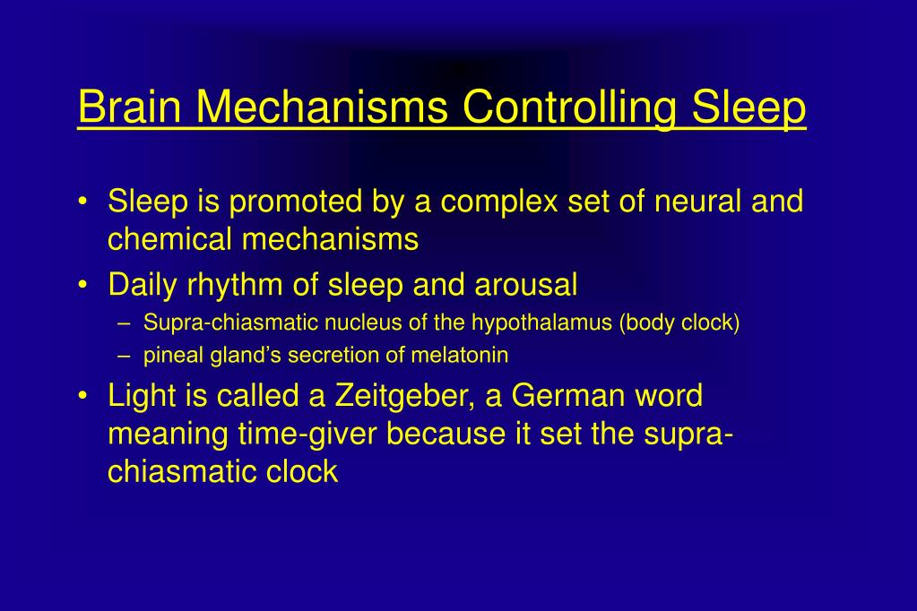 PPT - Physiology of sleep BY AHMAD YOUNES PROFESSOR OF THORACIC ...