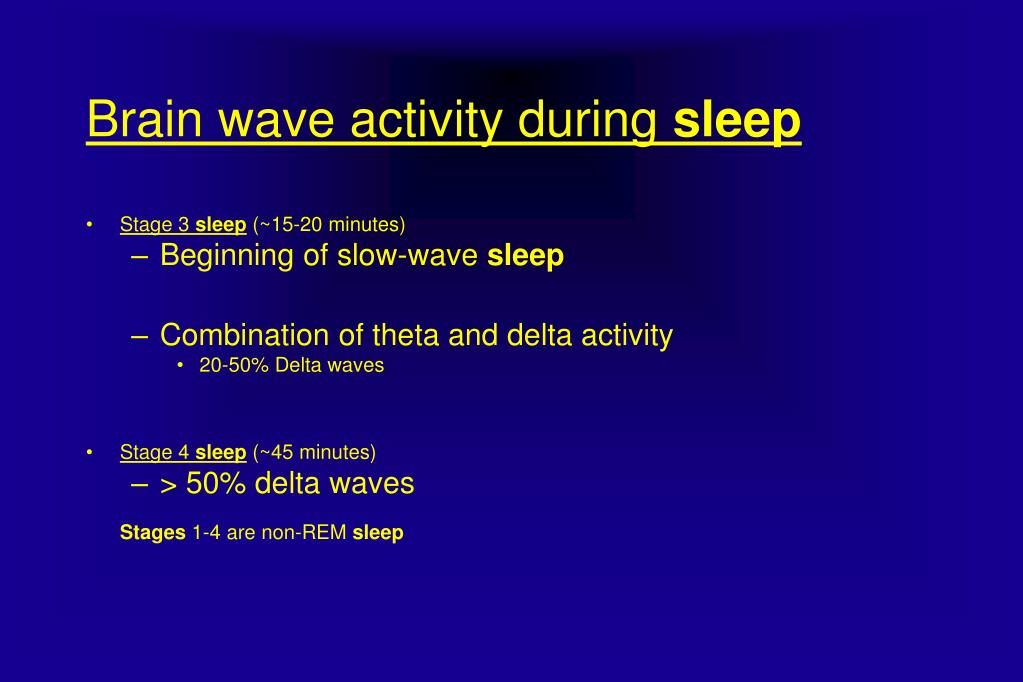 PPT - Physiology of sleep BY AHMAD YOUNES PROFESSOR OF THORACIC ...