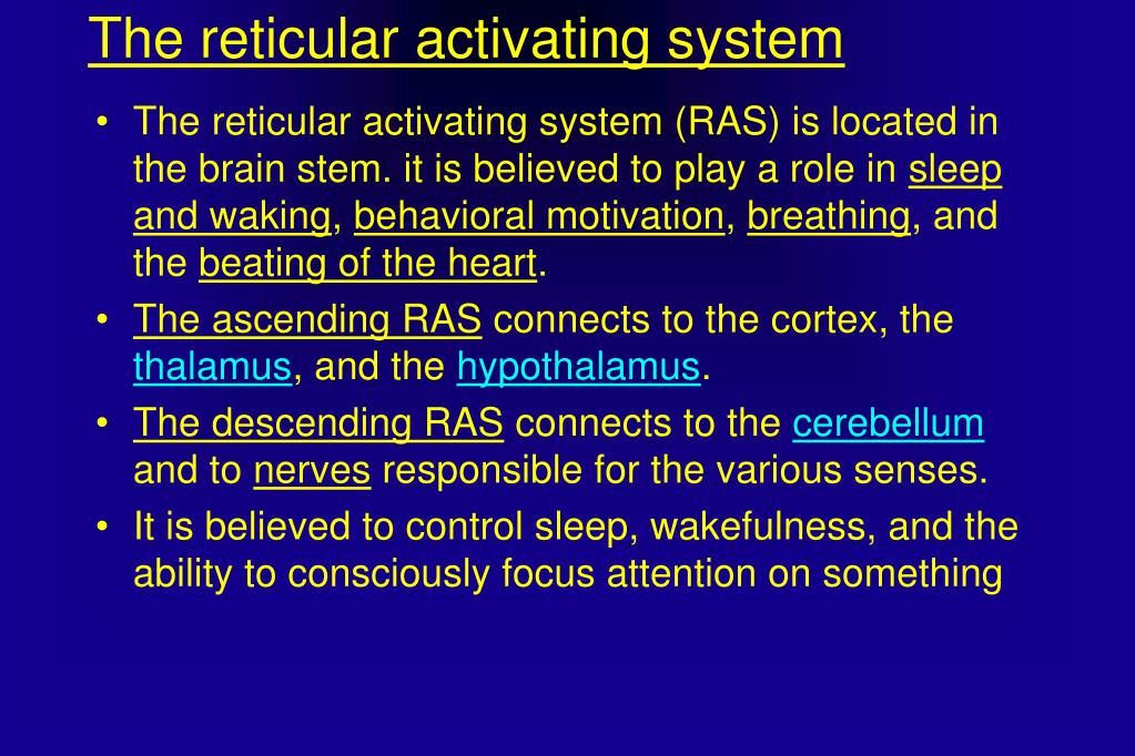 PPT - Physiology of sleep BY AHMAD YOUNES PROFESSOR OF THORACIC ...