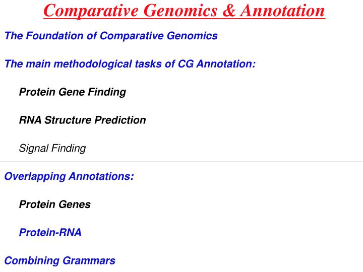 PPT - Comparative Genomics & Annotation PowerPoint Presentation, free ...