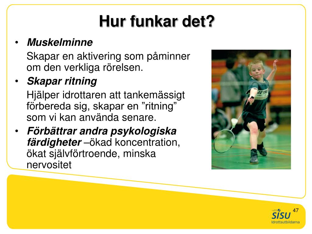 PPT - Idrottens Grundtränarutbildning GTU nivå 1 PowerPoint ...