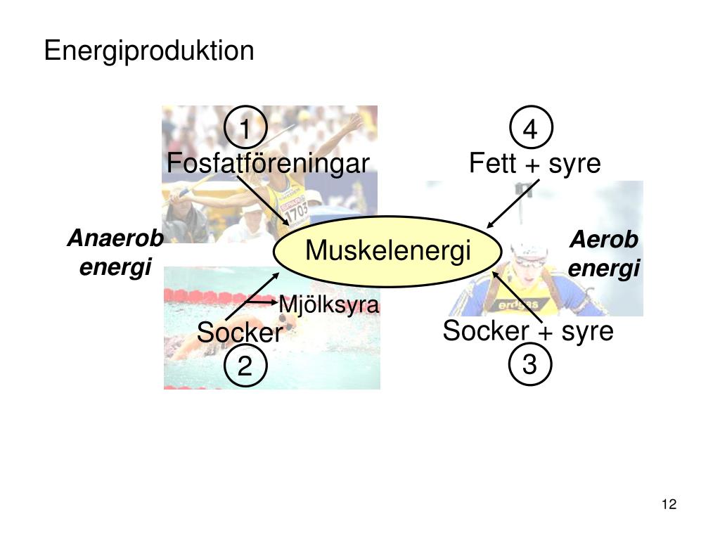 PPT - Idrottens Grundtränarutbildning GTU nivå 1 PowerPoint ...