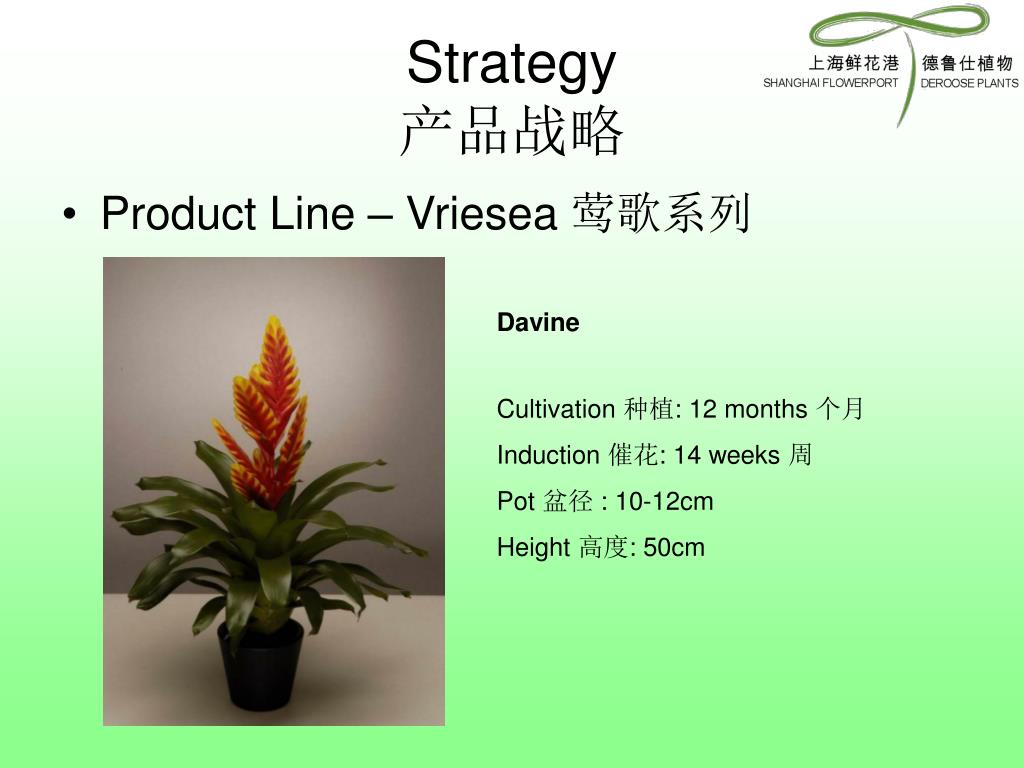 PPT - Title PowerPoint Presentation, free download - ID:3307545