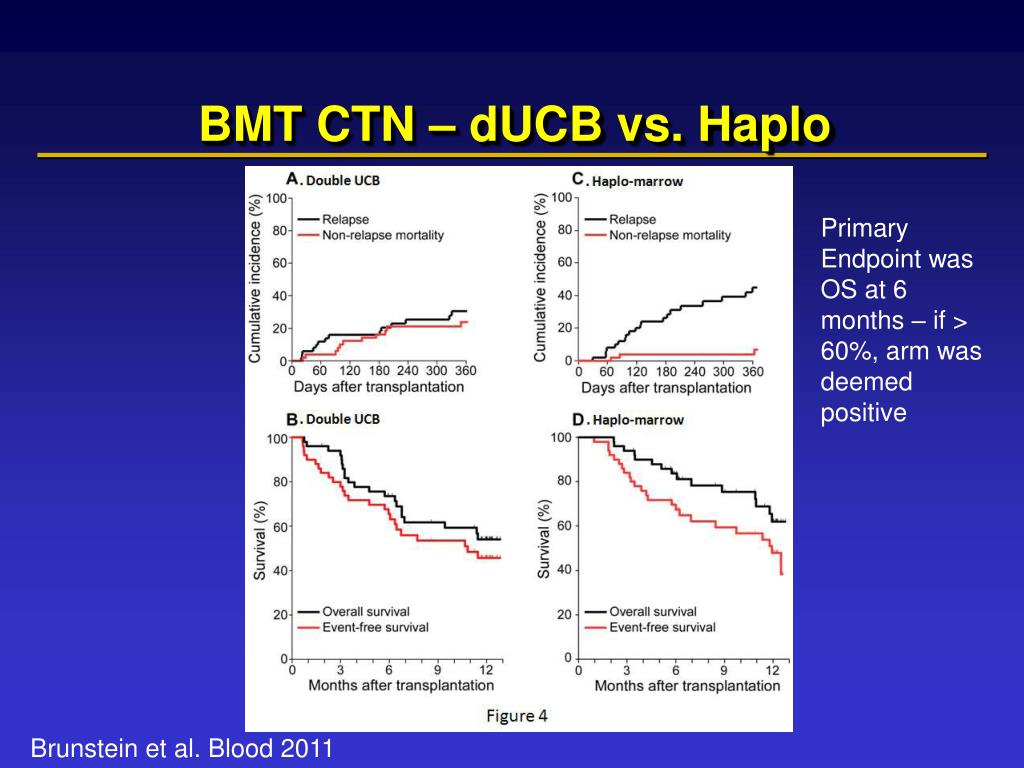 PPT - Allogeneic Hematopoietic Stem Cell Transplant for the Medical ...
