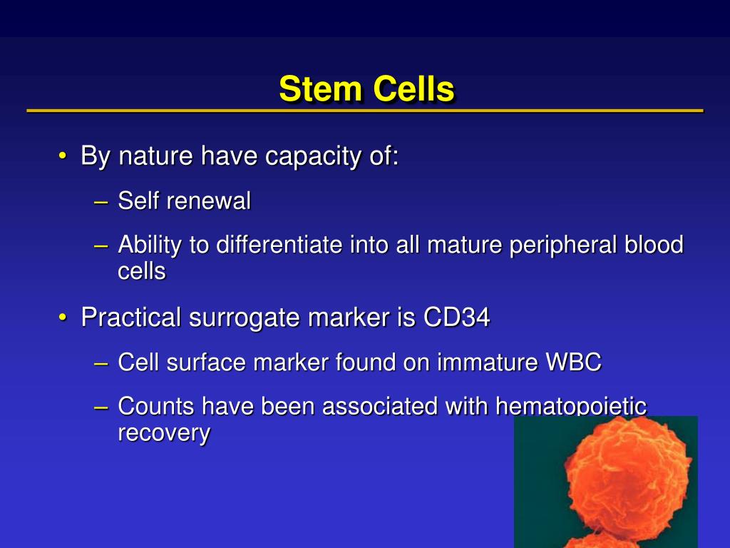 PPT - Allogeneic Hematopoietic Stem Cell Transplant for the Medical ...