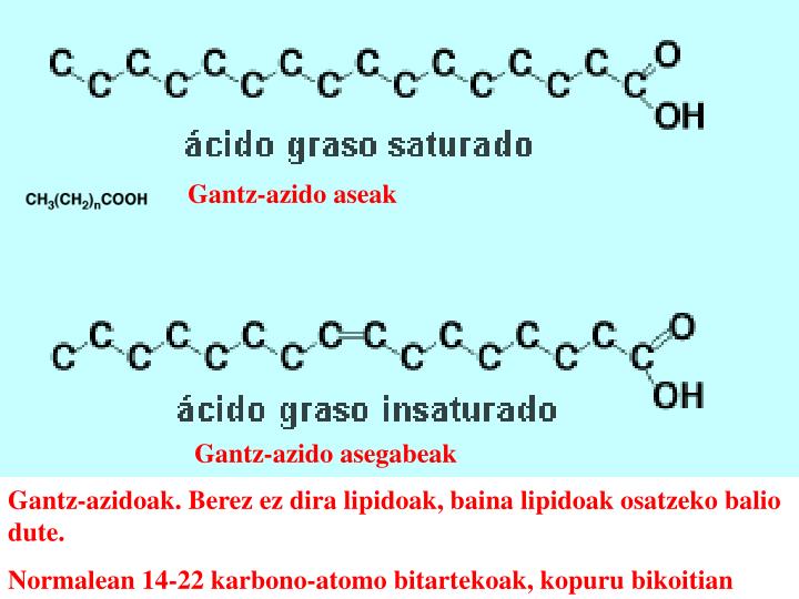 PPT - BIOKIMIKA PowerPoint Presentation - ID:3308042