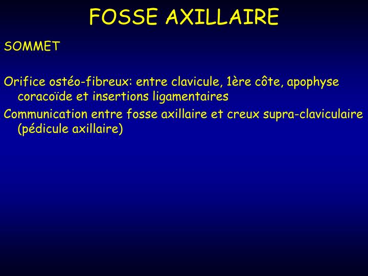 PPT - FOSSE AXILLAIRE PowerPoint Presentation - ID:3308065