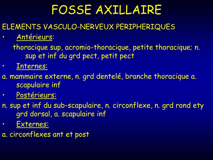 PPT - FOSSE AXILLAIRE PowerPoint Presentation - ID:3308065