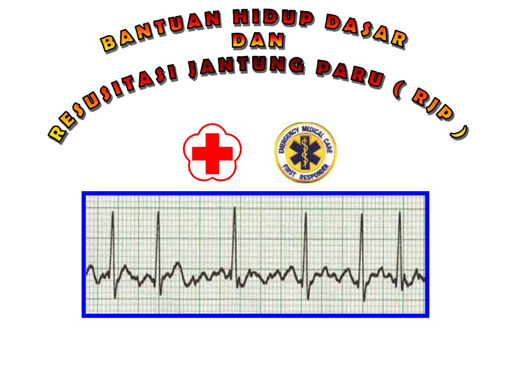 PPT - BANTUAN HIDUP DASAR DAN RESUSITASI JANTUNG PARU ( RJP ...