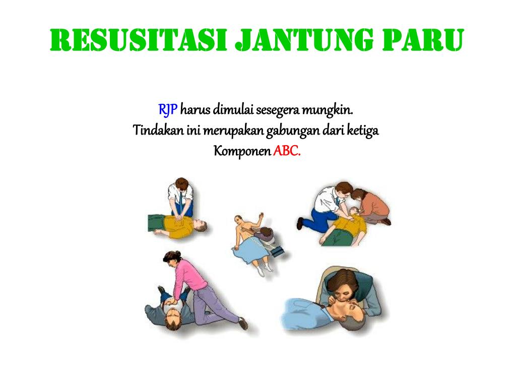 PPT - BANTUAN HIDUP DASAR DAN RESUSITASI JANTUNG PARU ( RJP ...