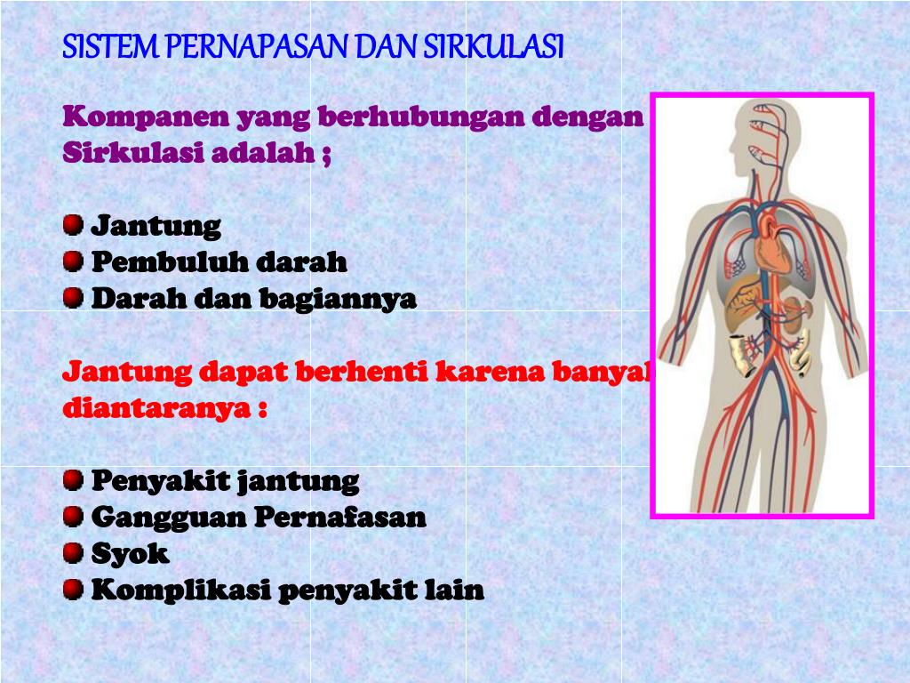 PPT - BANTUAN HIDUP DASAR DAN RESUSITASI JANTUNG PARU ( RJP ...