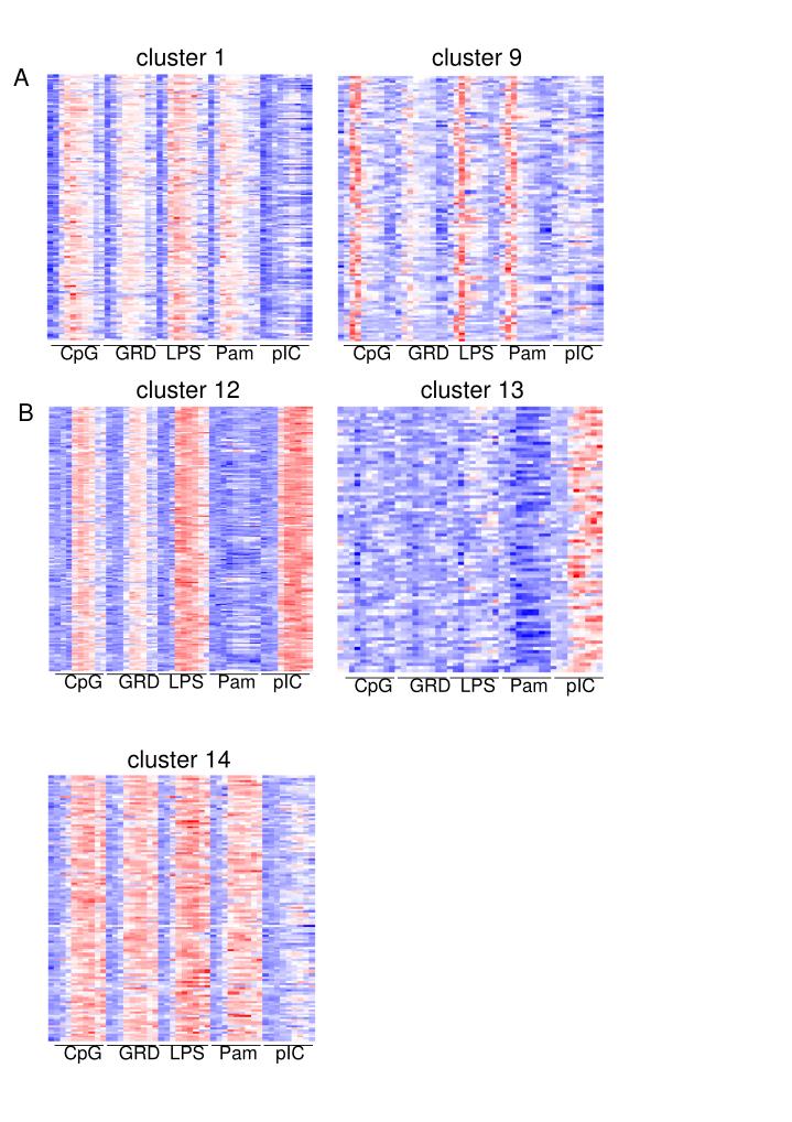 PPT - CpG PowerPoint Presentation, free download - ID:3308131