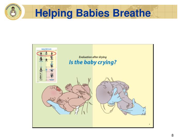 PPT - Helping Babies Breathe PowerPoint Presentation - ID:3308820