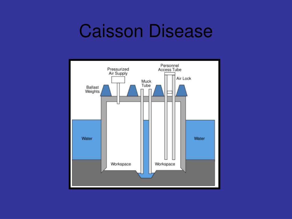PPT - Sgn Cdr John Duncan, RNZN Director of Naval Medicine PowerPoint ...