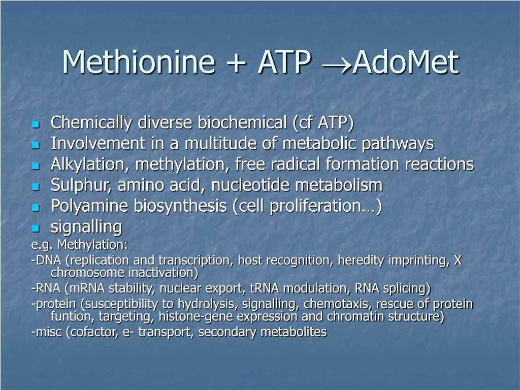 PPT - Mathematical Model of Methionine Cycle: A Comprehensive Analysis ...