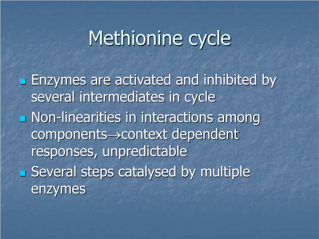 PPT - Mathematical Model of Methionine Cycle: A Comprehensive Analysis ...