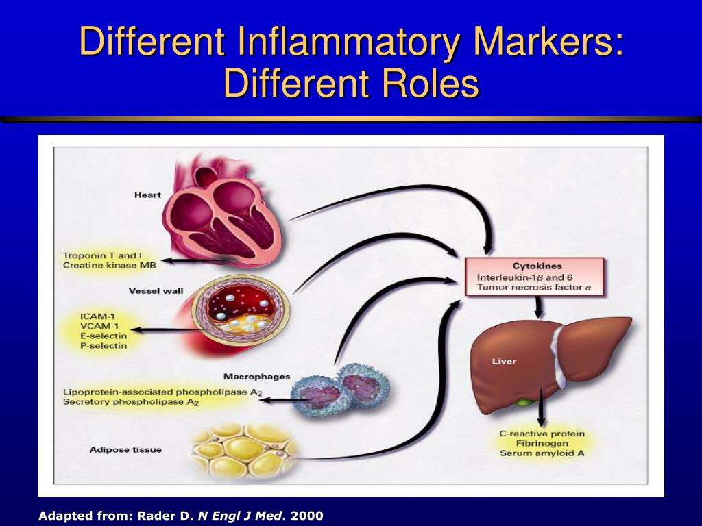 PPT - Joseph P. McConnell PhD, DABCC The Mayo Clinic and Foundation ...