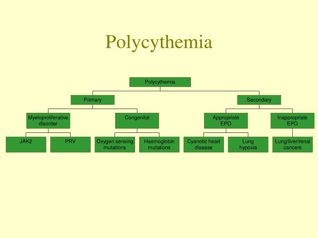 PPT - Pulmonary Hypertension and Polycythemia – novel mutations ...