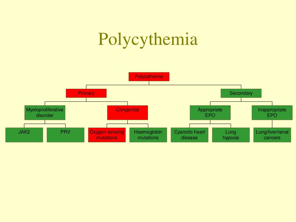 PPT - Pulmonary Hypertension and Polycythemia – novel mutations PowerPoint Presentation - ID:3309657