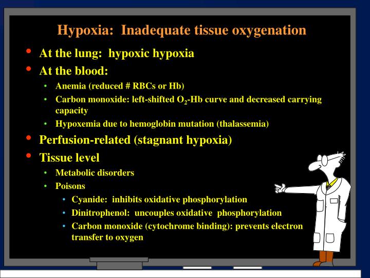 PPT - Hypoxia: Inadequate tissue oxygenation PowerPoint Presentation ...