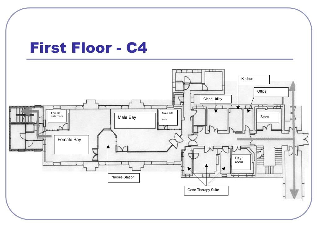 PPT - Gene Therapy at Hammersmith Hospitals NHS Trust PowerPoint ...