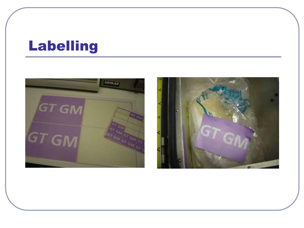 PPT - Gene Therapy at Hammersmith Hospitals NHS Trust PowerPoint ...