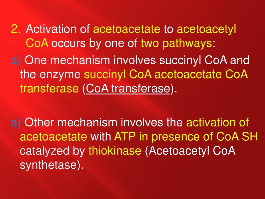 PPT - Ketogenesis & Ketolysis Ketosis ( ketoacidosis ) Metabolism of ...