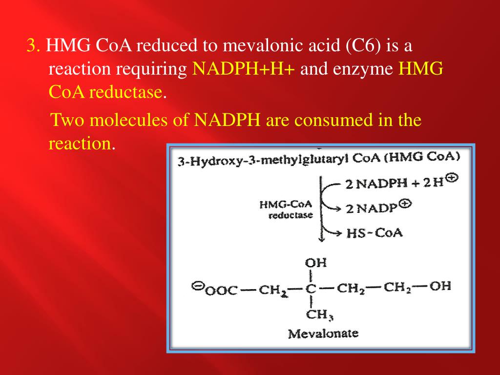 PPT - Ketogenesis & Ketolysis Ketosis ( ketoacidosis ) Metabolism of ...