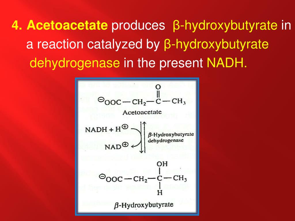PPT - Ketogenesis & Ketolysis Ketosis ( ketoacidosis ) Metabolism of ...