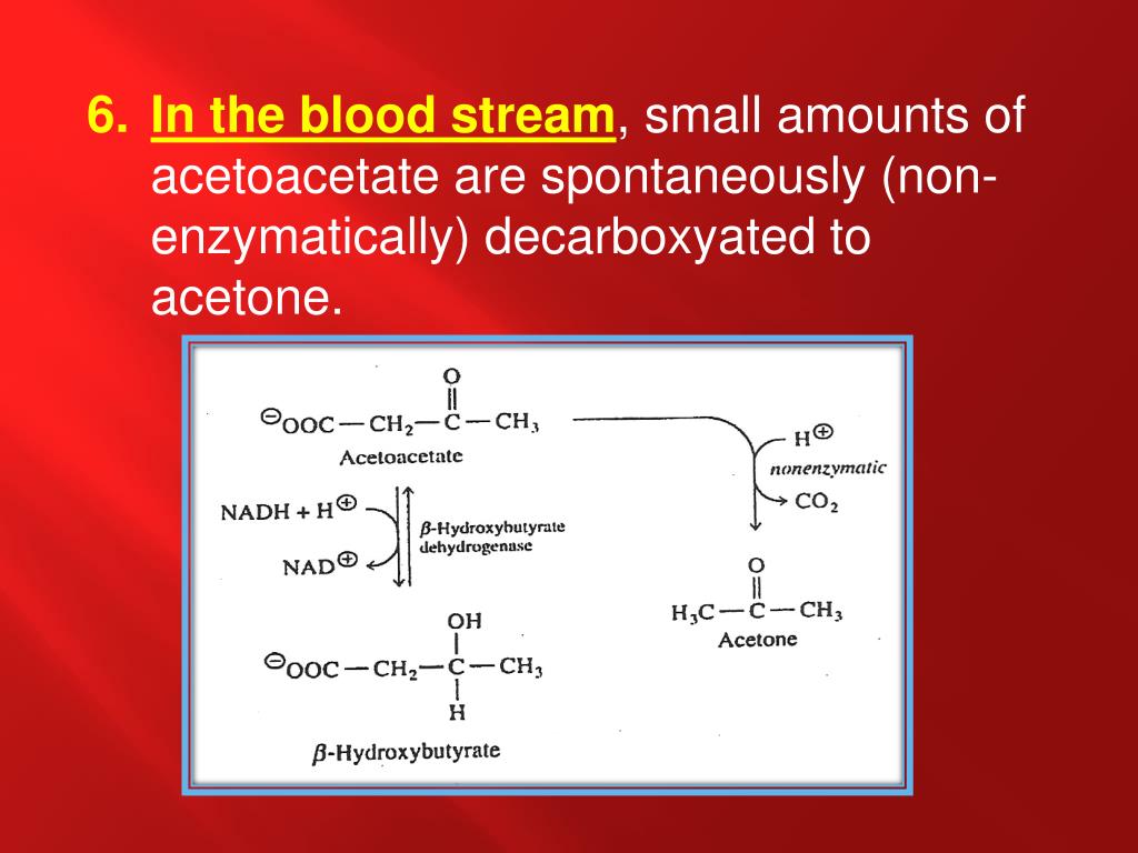 PPT - Ketogenesis & Ketolysis Ketosis ( ketoacidosis ) Metabolism of ...