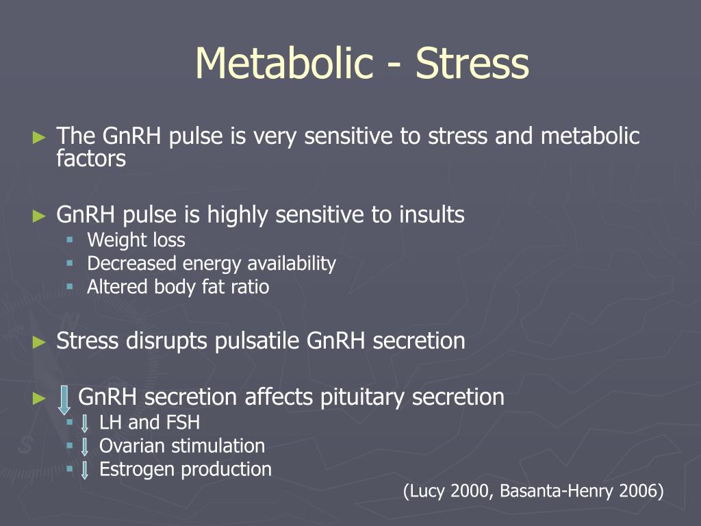 PPT - Understanding Stress and its Impact on Reproduction PowerPoint ...