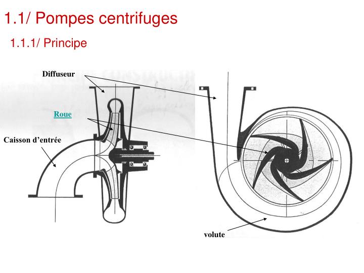 PPT - Les pompes PowerPoint Presentation - ID:3310494