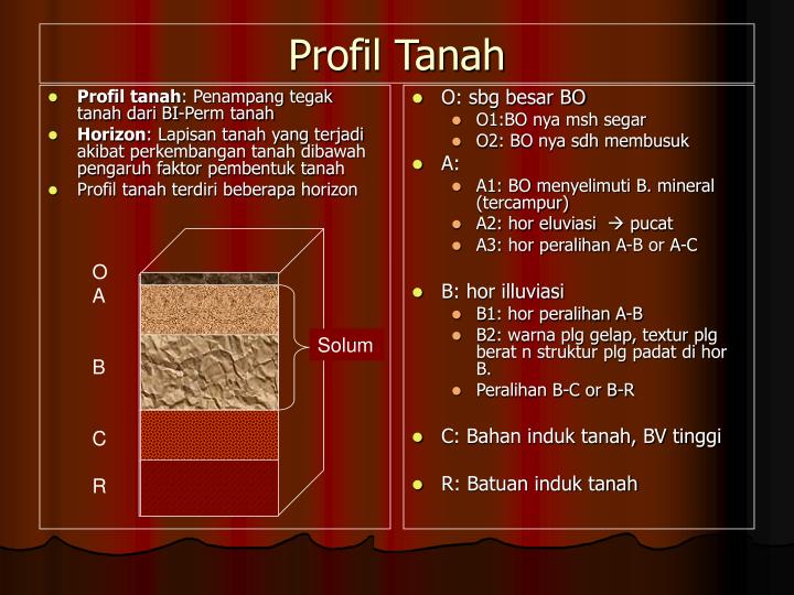 PPT - KLASSIFIKASI TANAH, SURVAI TANAH, DAN PEMETAAN TANAH PowerPoint ...