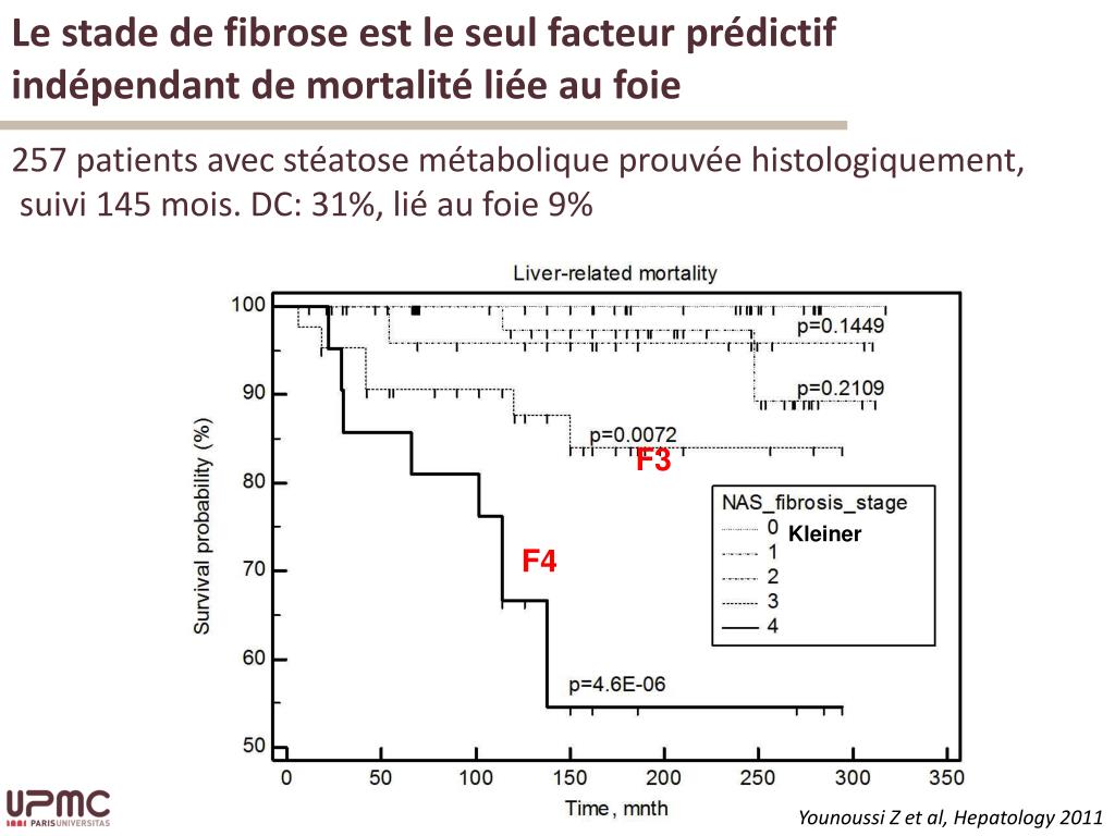 PPT - Traitement de la stéatohépatite non alcoolique autre que celui de ...